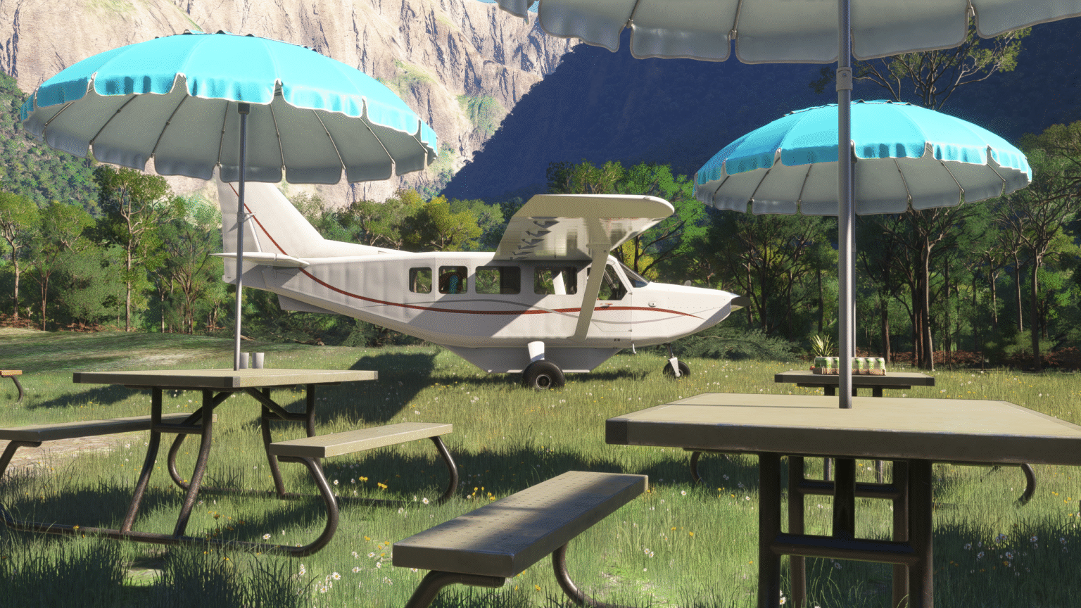 GA-8 Airvan – Basic Edition (FS2024) - Simworks Studios